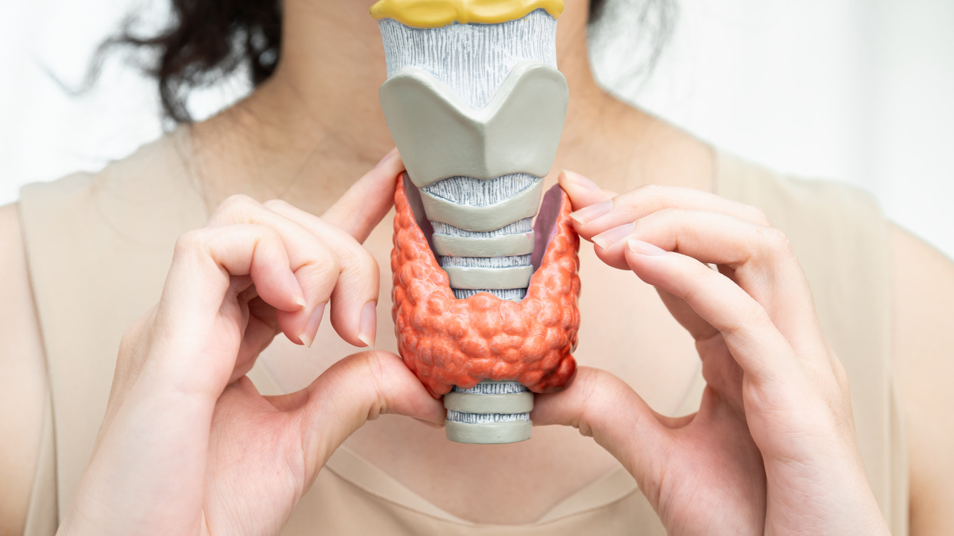 Thyroid Awareness Month & Why Thyroid Health Matters