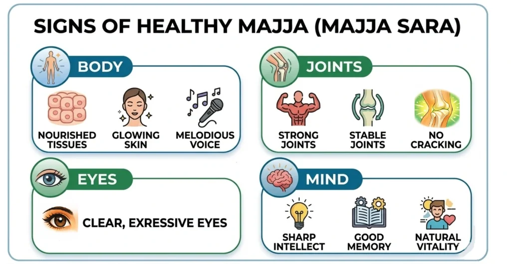 Majja Dhatu in Ayurveda | Functions, Formation & Nervous System Health